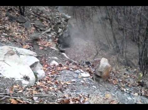 Underground Coal Fire Near Shamokin Pa YouTube