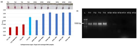 Nanoparticle Based Plasmonic Biosensor For The Unamplified Genomic Detection Of Carbapenem