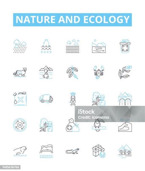 자연과 생태 벡터 라인 아이콘이 설정되었습니다 생태학 자연 환경 보존 생물 다양성 해양 기후 그림은 개념 기호와 기호를 설명합니다 0명에 대한 스톡 벡터 아트 및 기타