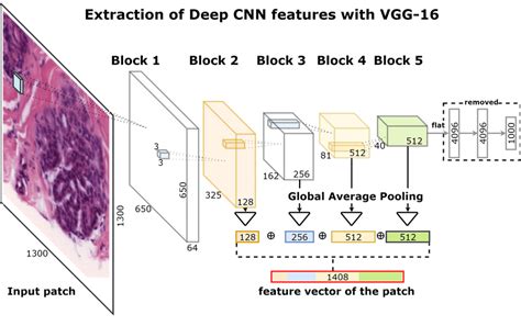 fig schematic overview of the network architecture for deep feature