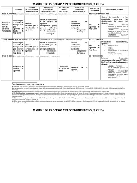 Manual De Procedimientos Caja Chica Pdf Pdf Devengo Business