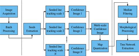 Process Flow Of H Mslta For Electrical Tree Segmentation Download