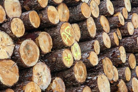 Безкоштовне стокове фото біопаливо вертикальні колоди видобуток