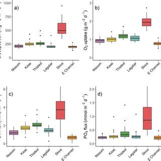 Modeled Nutrient Pools Sources And Sinks At Basin Scale For The Download Scientific Diagram
