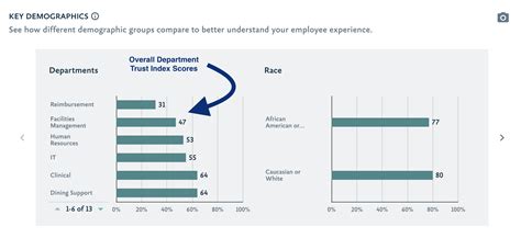 How To Use The Key Demographics Section