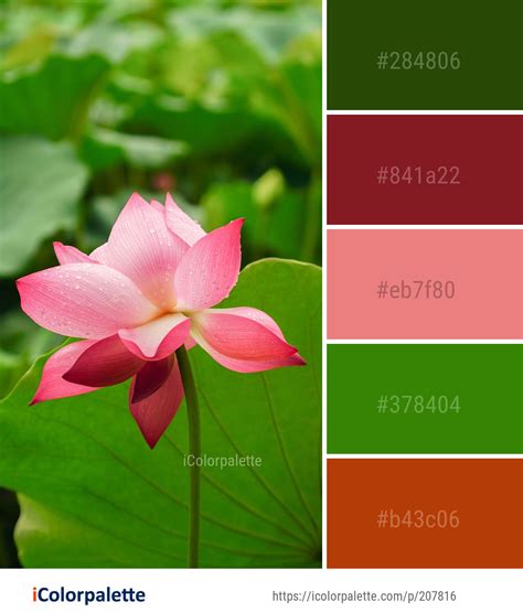 Color Palette Ideas From 172 Lotus Images Icolorpalette Color