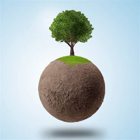 Carbon Management Greenco Esg Advisory Sustainability Consulting
