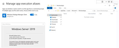 Missing Winget Exe On Server 2019 Install Issue 754 Microsoft