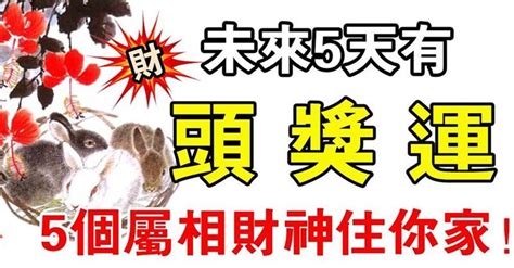 未來五天有頭獎運的五個屬相，財神住你家 趣聞圖說