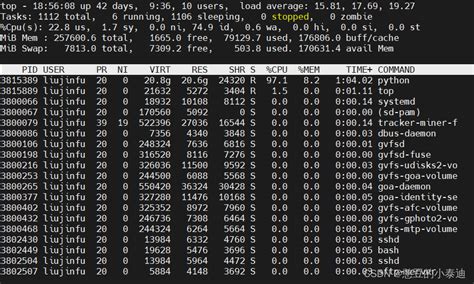 Linux笔记 基本指令的使用linux下如何查看压缩包的大小 Csdn博客
