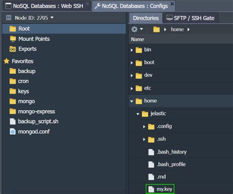 mongodb replication and automated failover cloudsigma
