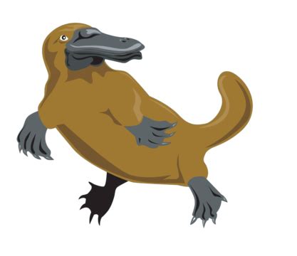 Platypus Cartoon Monotreme Bushes Vector Cartoon Monotreme Bushes