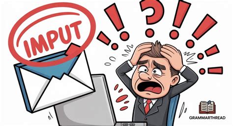 Input Or Imput Which Is Correct With Examples