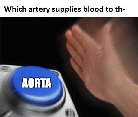 [meme] 100 Accuracy 0 Precision R Medicalschool