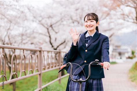 友達と待ち合わせして通学する中学生・高校生・女子高生・女子高校生（挨拶） Stock Foto Adobe Stock