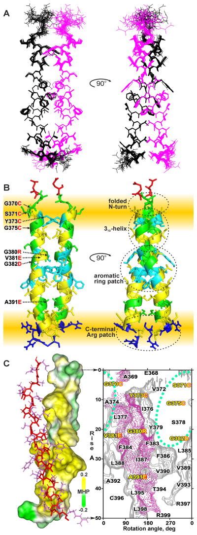 Structure Of Fgfr3 Transmembrane Domain Dimer Implications For Signaling And Human Pathologies