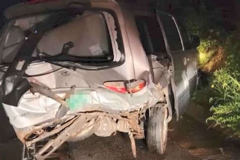 “단속 카메라로 제발 좀 잡자” 예외 없이 쌍욕 먹는 운전자들 네이트뷰