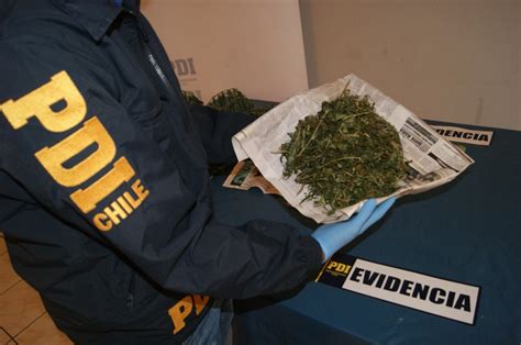 PDI Atrapa A Sujeto Que Escapaba Con Un Paquete Con Droga En Los Vilos