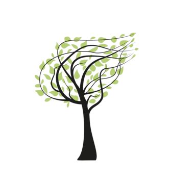Tree Trunk Outline PNG Transparent Images Free Download Vector Files Pngtree