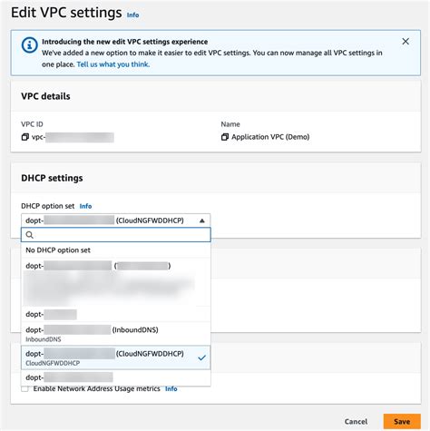 Cloud NGFW For AWS DNS Security