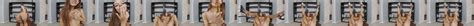 Vídeos Porno de RV Gratis 2 xHamster