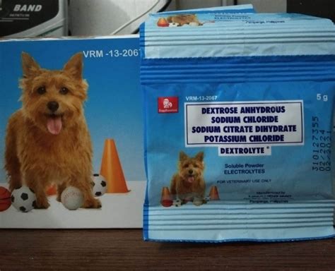 Dextrolyte Powder 5gsold By 3 Pcs Lazada Ph