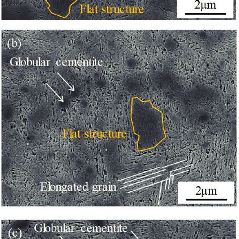 Sem Images Showing Microstructure At Z0 Depth The Number Of Cycles Download Scientific Diagram
