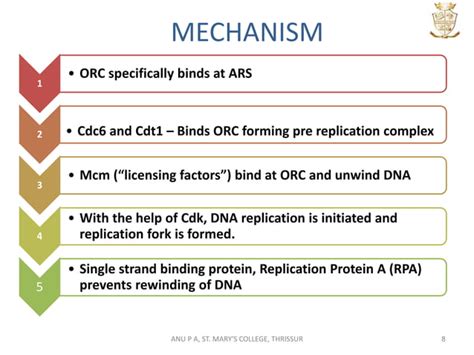 Replication In Eukaryotes Pptx Biological Sciences Science