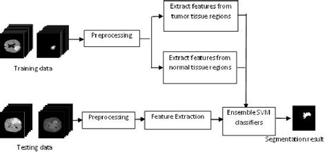 Figure 1 From Brain Tumor Segmentation From Multimodal Magnetic