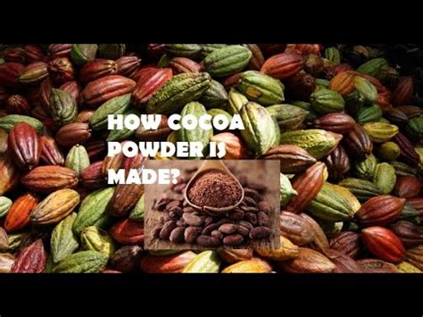 HOW COCOA POWDER IS MADE YouTube