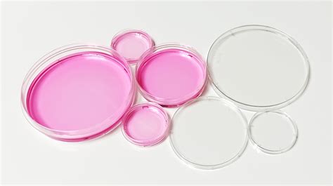 35mm细胞培养皿TC处理已灭菌 10个 包 500个 箱 炼石商城