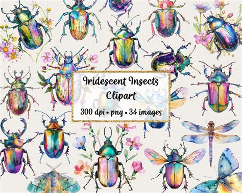 Watercolor Iridescent Insects Clipart Commercial Use Etsy
