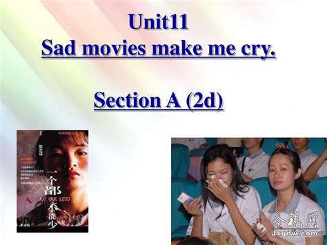 2014人教版新目标英语九年级Unit11 Sad movies make me cry Section A 2d 3c word文档