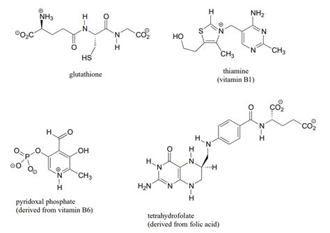 66 Acid Base Properties Of Nitrogen Containing Functional Groups Chemistry Libretexts