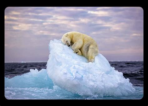 Ayush Rana On Linkedin Worldenvironmentday