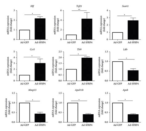 Real Time Pcr Was Performed To Identify Gene Expression In The Rnaseq