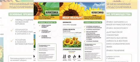 Семена подсолнечника гибрид купить в Шарлыке Товары для дома и дачи