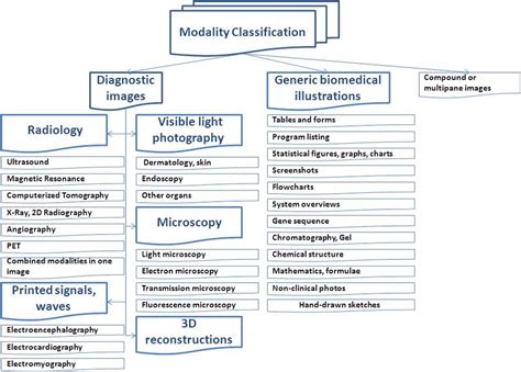 Modality Classification According To Medical Image Clef 22 Download