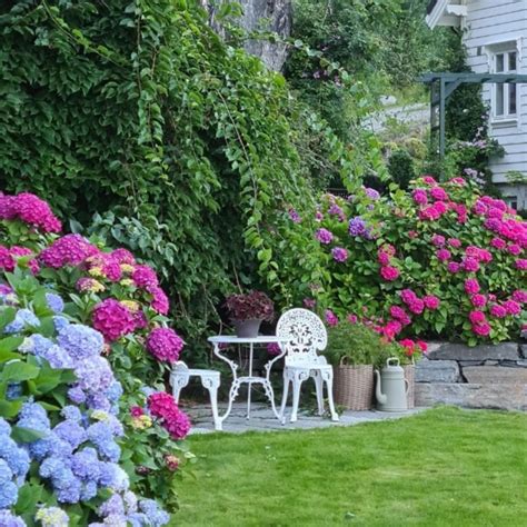 Cottage Garden Hydrangeas Interiors By Color