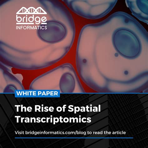 Bridge Informatics On Linkedin Spatialtranscriptomics Drugdiscovery