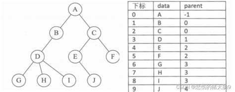 数据结构中“树”的全面讲解