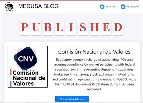 Hackeo A La CNV Ya Circulan 500 000 Archivos Filtrados Con Datos