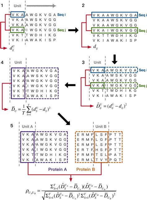 Figure 1 From A Novel Algorithm For Detecting Co Evolutionary Domains In Protein And Nucleotide