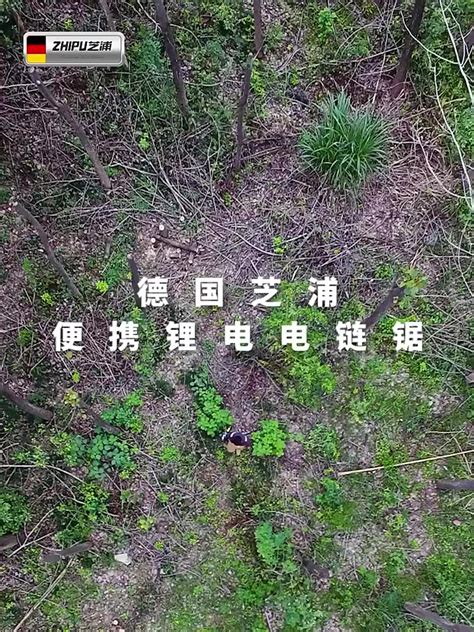电锯家用小型手持充电电锯伐木锯锂电池电动链锯据树手电锯柴油锯 阿里巴巴