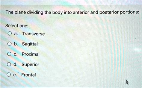 Solved The Plane Dividing The Body Into Anterior And Posterior