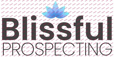 Blissful Prospecting Prospecting Boot Camp Eshoptrip