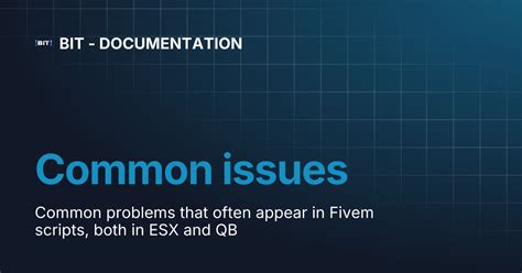 Common Issues Bit Documentation