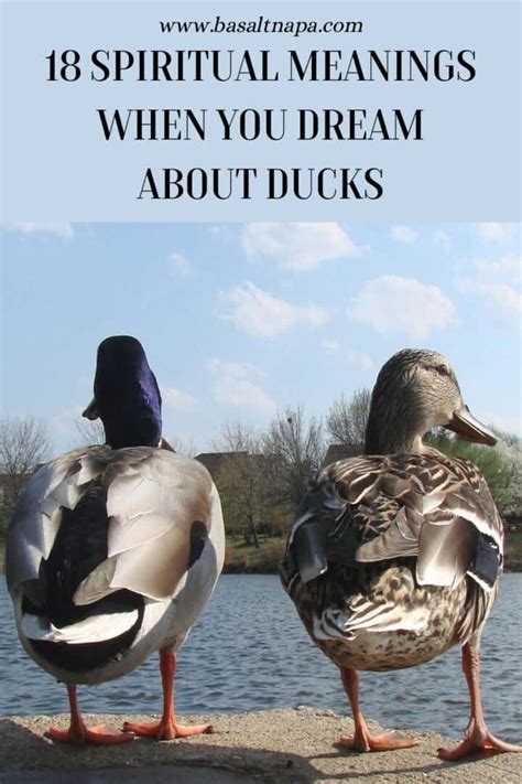 18 Spiritual Meanings When You Dream About Ducks