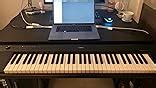 Yamaha NP Key Lightweight Portable Keyboard Black Amazon Ca Musical Instruments Stage