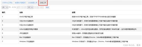 绿盟堡垒机v56r10f05错误代码 0x204 扩展错误代码 0x0 Csdn博客